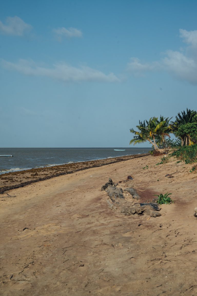 Awala yalimapo, Guyane - Vie de Miettes